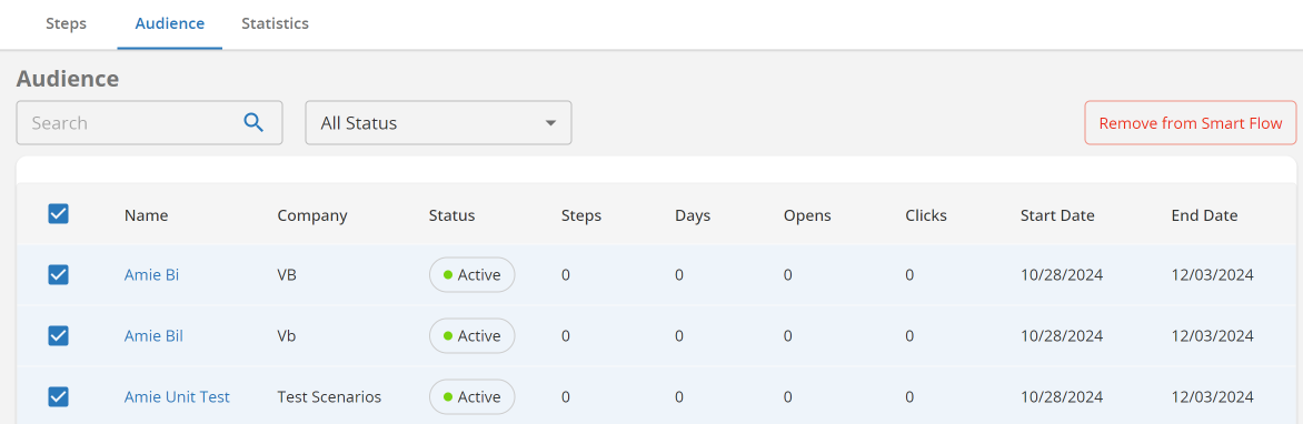 Audience Tab in Smart Flow – Value Builder System
